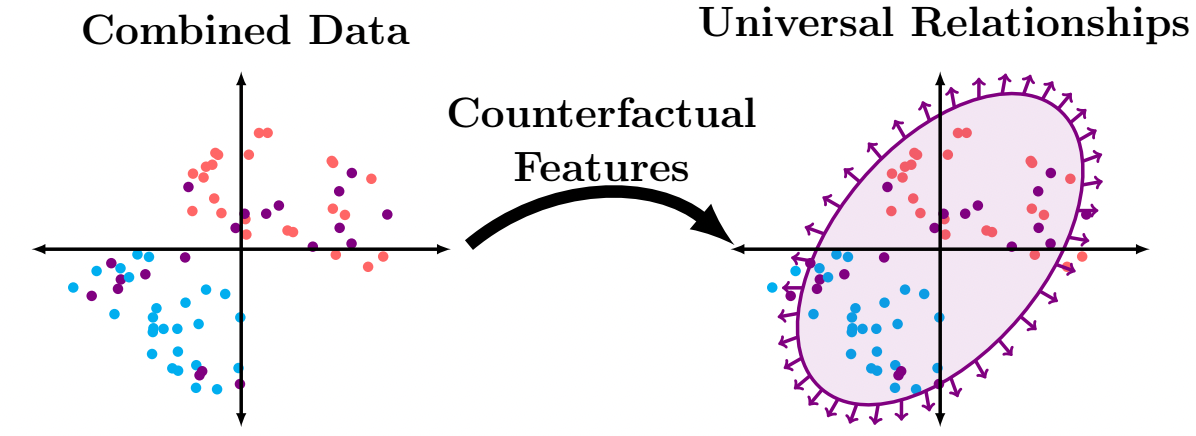 Distribution Shift and Conterfactual Features | Bijan Mazaheri
